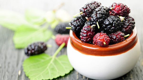 The Wonders of Mulberry for Your Skin – SMD Cosmetics